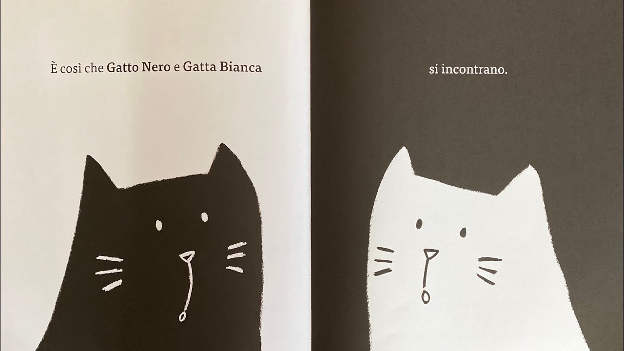 Gatto nero, gatta bianca – La Libreria Volante